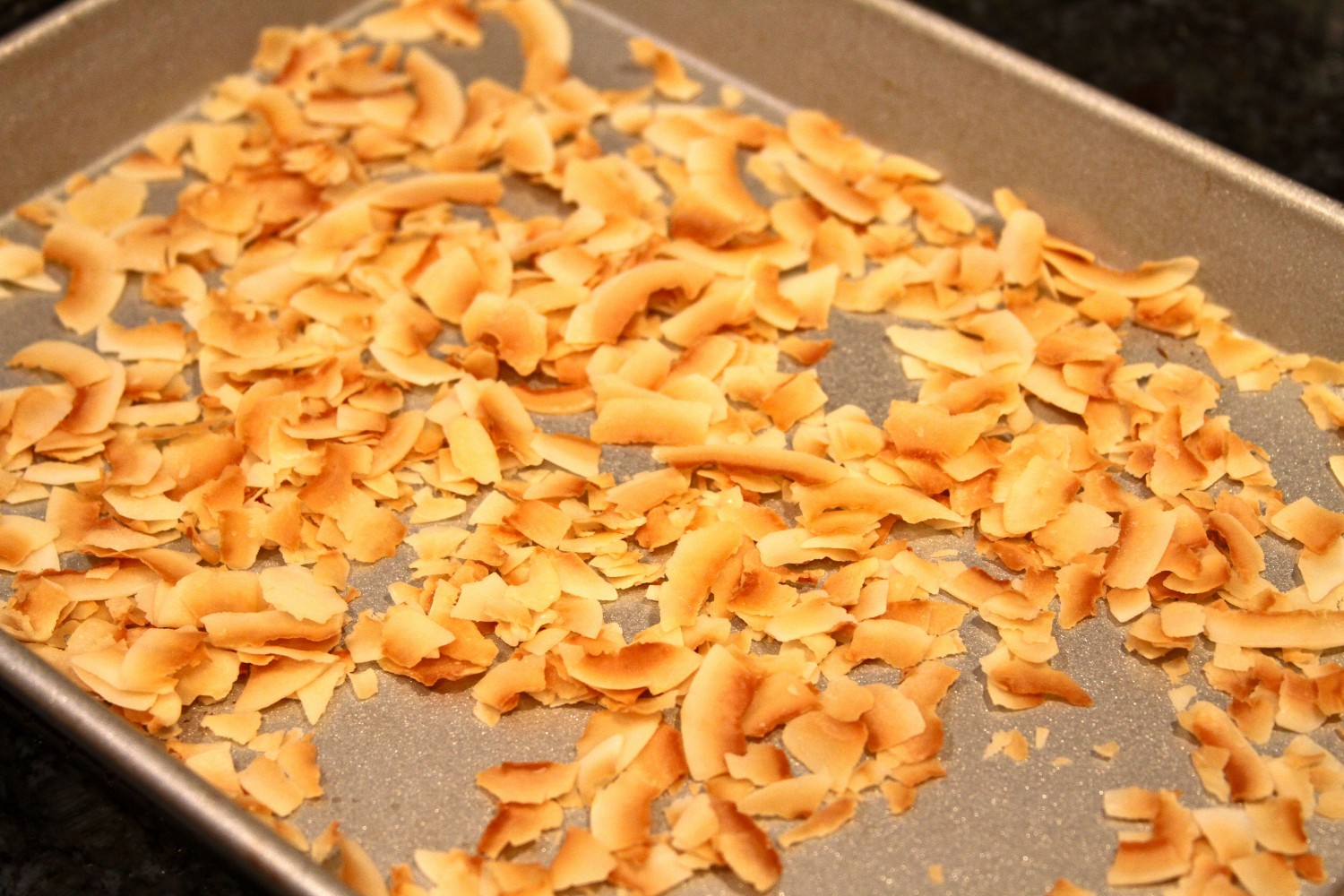 Toasted coconut flakes - Paleo Spirit