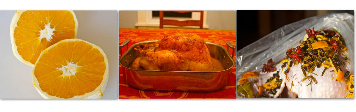 roast turkey header - Paleo Spirit