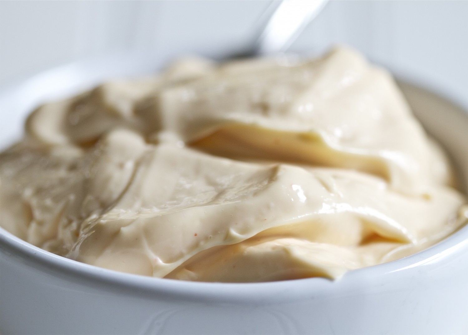 mayo up close - Paleo Spirit