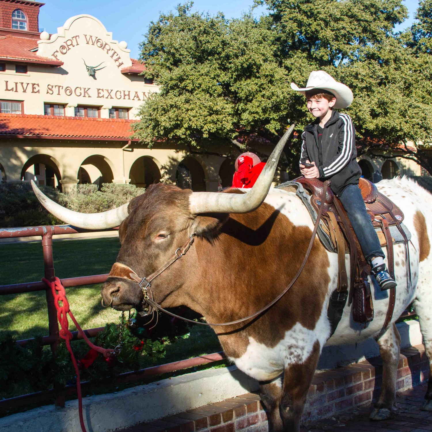 Nat on Longhorn - Paleo Spirit