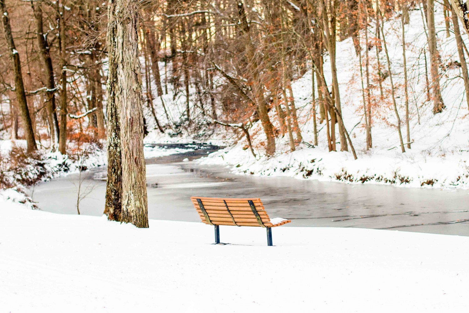 Snowy Bench: Lea Valle - Paleo Spirit