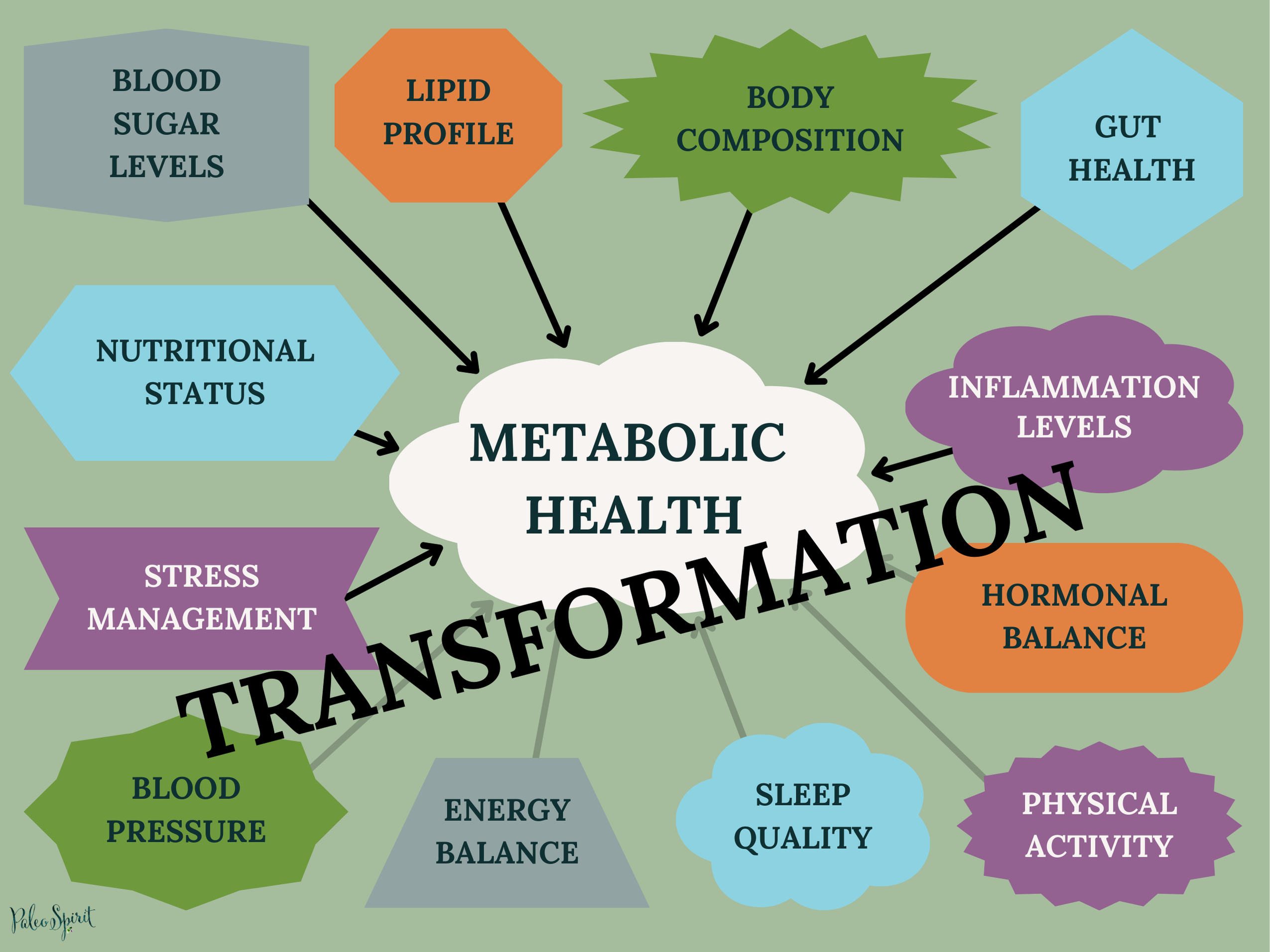 Paleo Spirit Plan: Total Metabolic Transformation