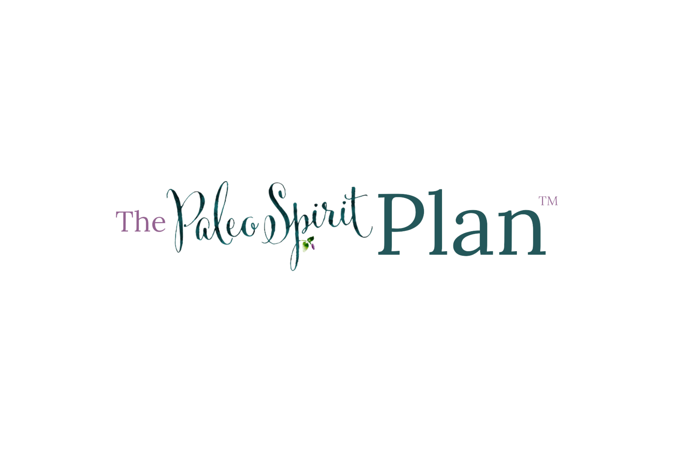 Paleo Spirit Plan