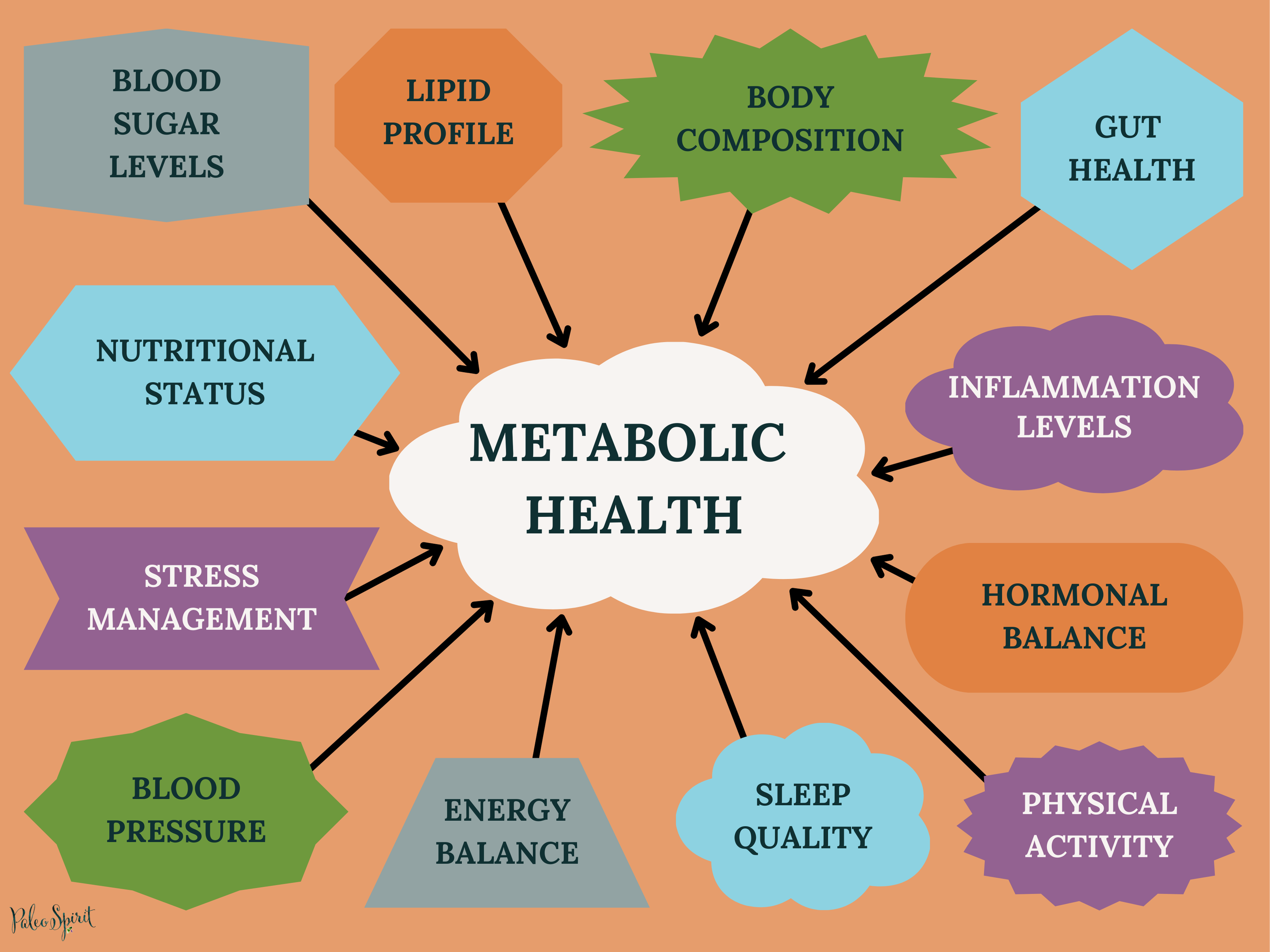 Paleo Spirit Plan: 21-Day Metabolic Reset